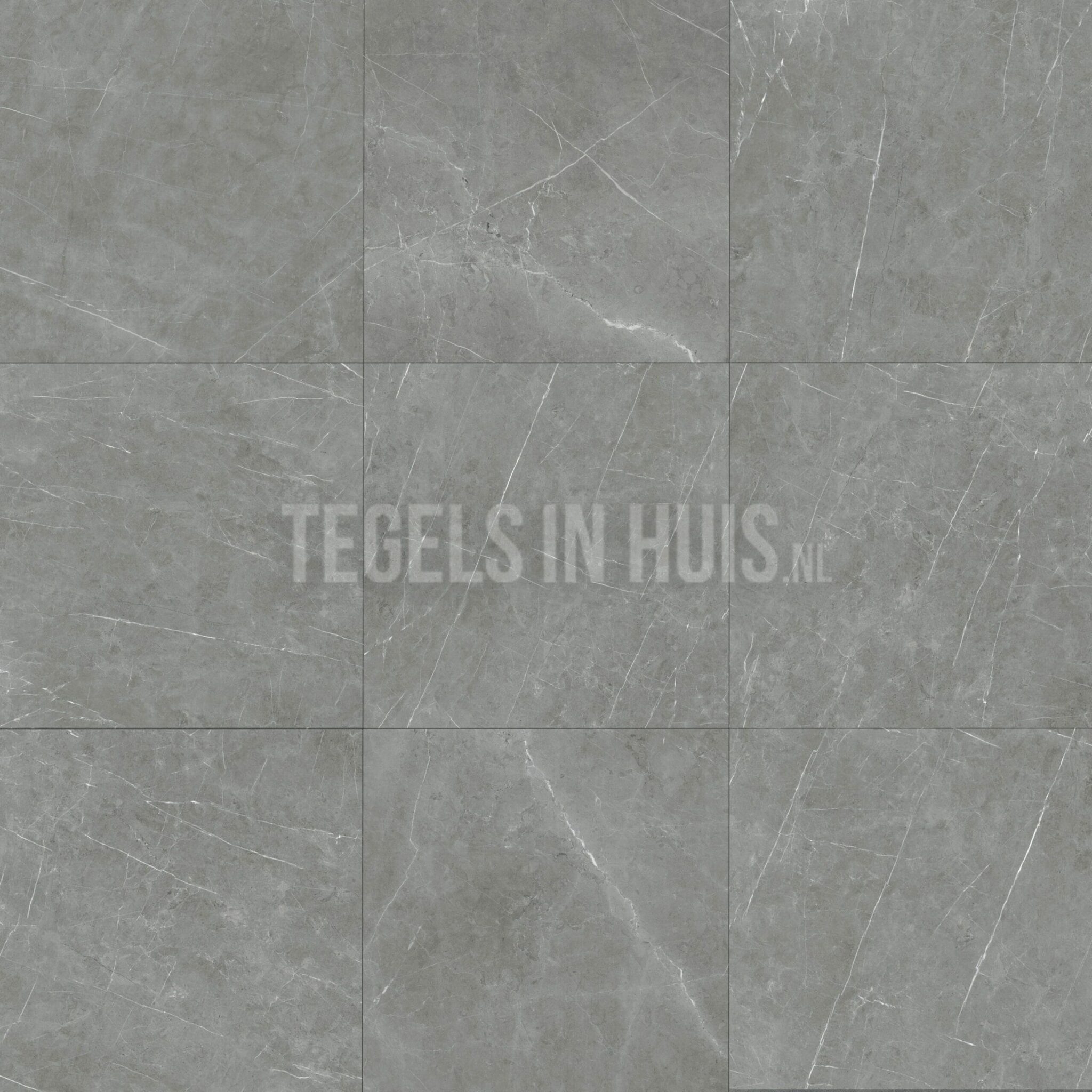 Vloertegel / wandtegel Ticino stone grijs gepolijst 60x60 ...