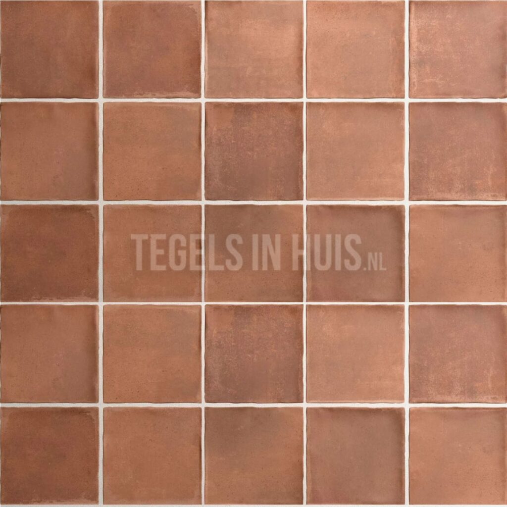 Vloertegel - Wandtegel Argile terracotta cotto rood 10x10 R9 | Tegels ...