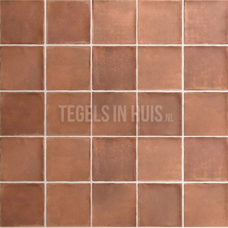 Vloertegel / Wandtegel Argile terracotta cotto rood 10x10 | Tegels in ...