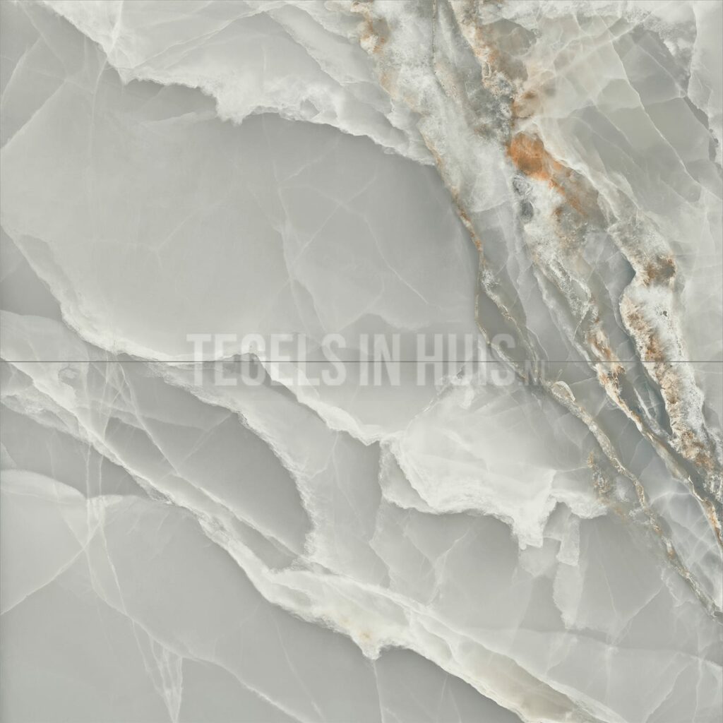 Vloertegel - Wandtegel Onix marmer grijs gepolijst 60x120 ...