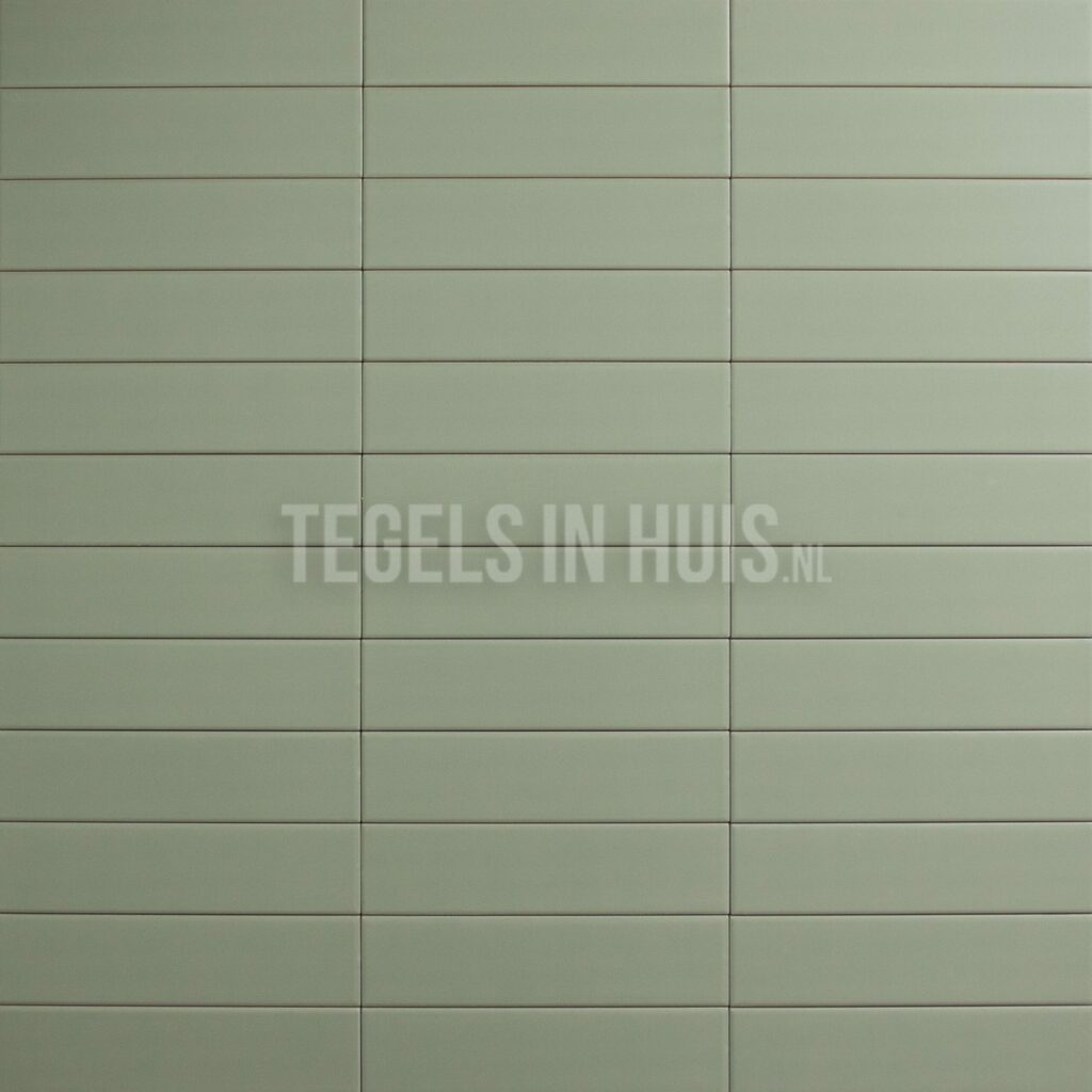 Wandtegel Costa Nova groen tansy mat 5x20 ideaal voor visgraat | Tegels ...