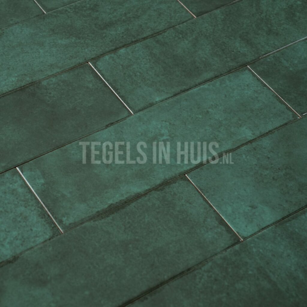 Wandtegel Titan forest groen glans 10x30 | Tegels in Huis - De grootste ...